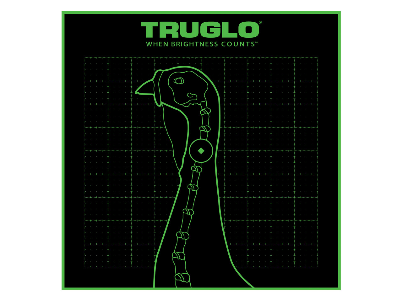 Turkey Target 12 x 12