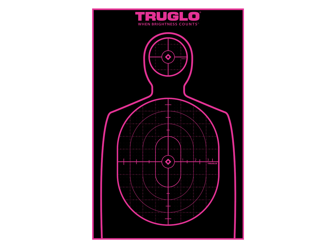 Handgun Target 12 x 18 Pink