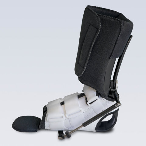 Phase II Multi Podus System