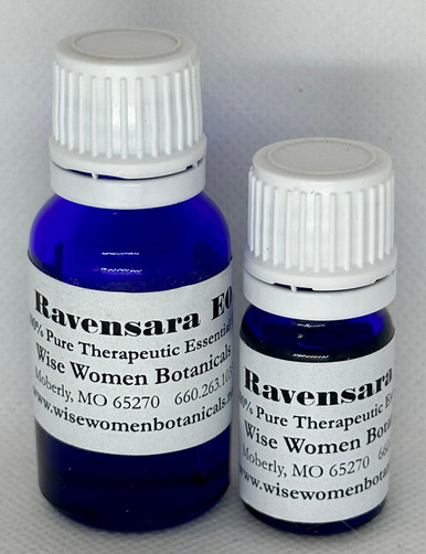 Ravensara Essential Oil - Wise Women Botanicals