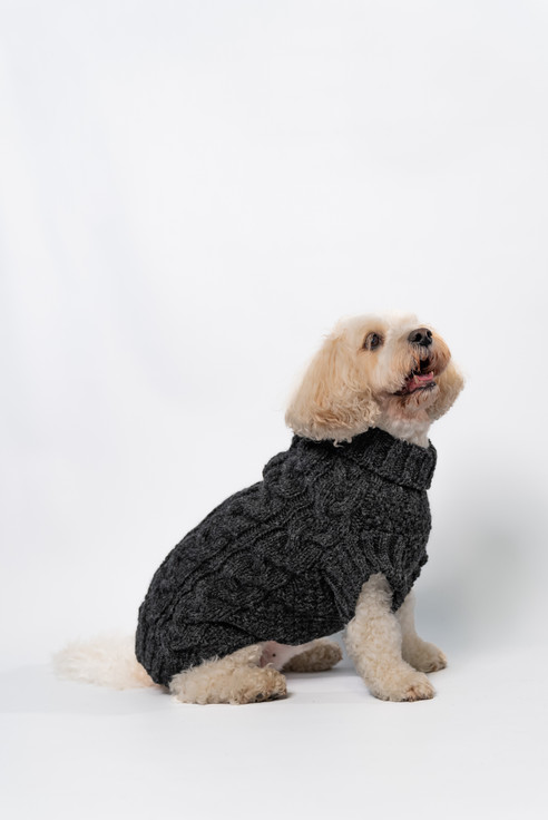 Aran Cable & Diamond Dog Sweater | Aran Sweater Market