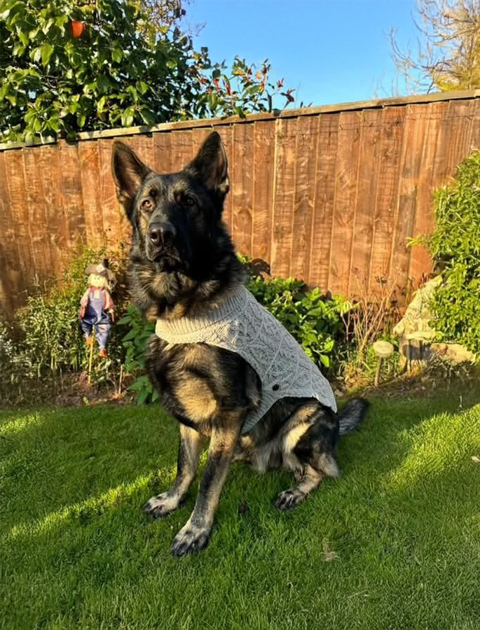 Aran Dog Coat | Aran Sweater Market