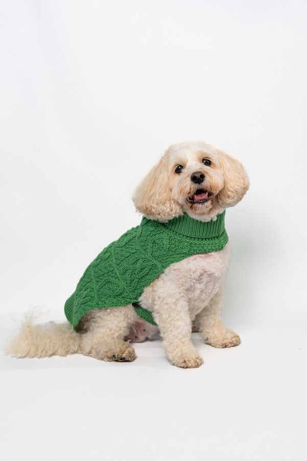 Aran Dog Coat | Aran Sweater Market