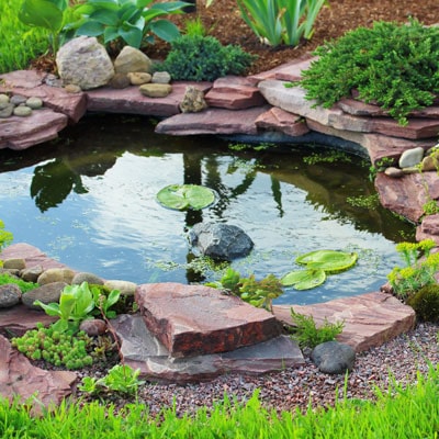 Small Water Spring