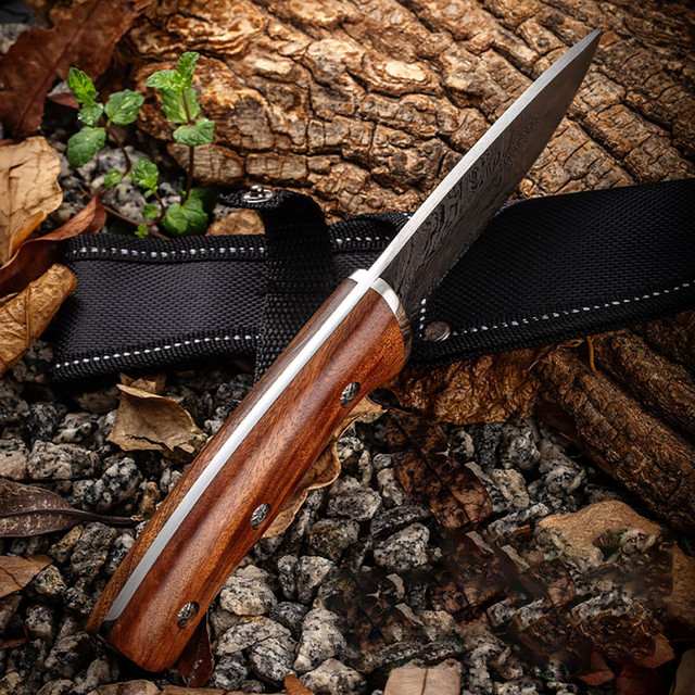 Damascus Pattern Knife, 9" High Carbon Steel Knife With Solid Wood ...