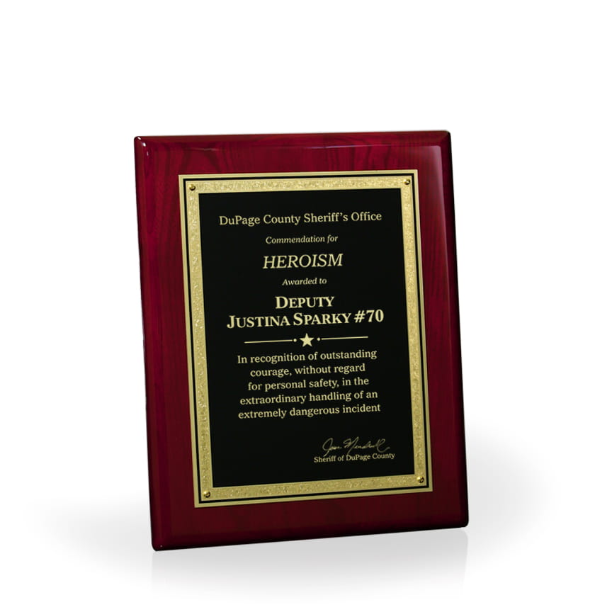Awards and Trophies for Government Employees, Public Servants, Law ...