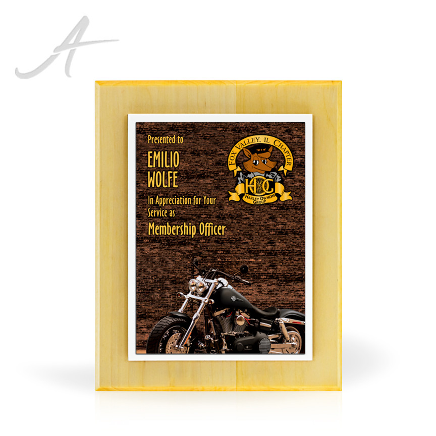 Carlton Plaque with Tile | Engraved Award Plaques | Awarding You