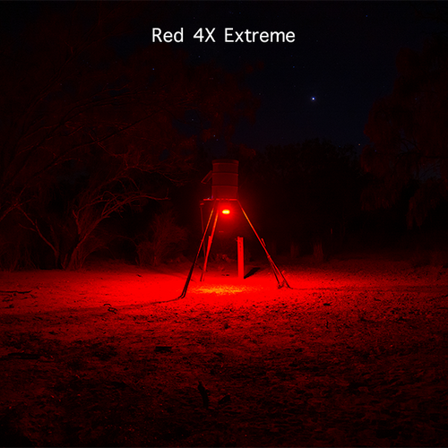 Elusive Wildlife Kill Light 3 Color Feeder Light - Best Hunting Light ...