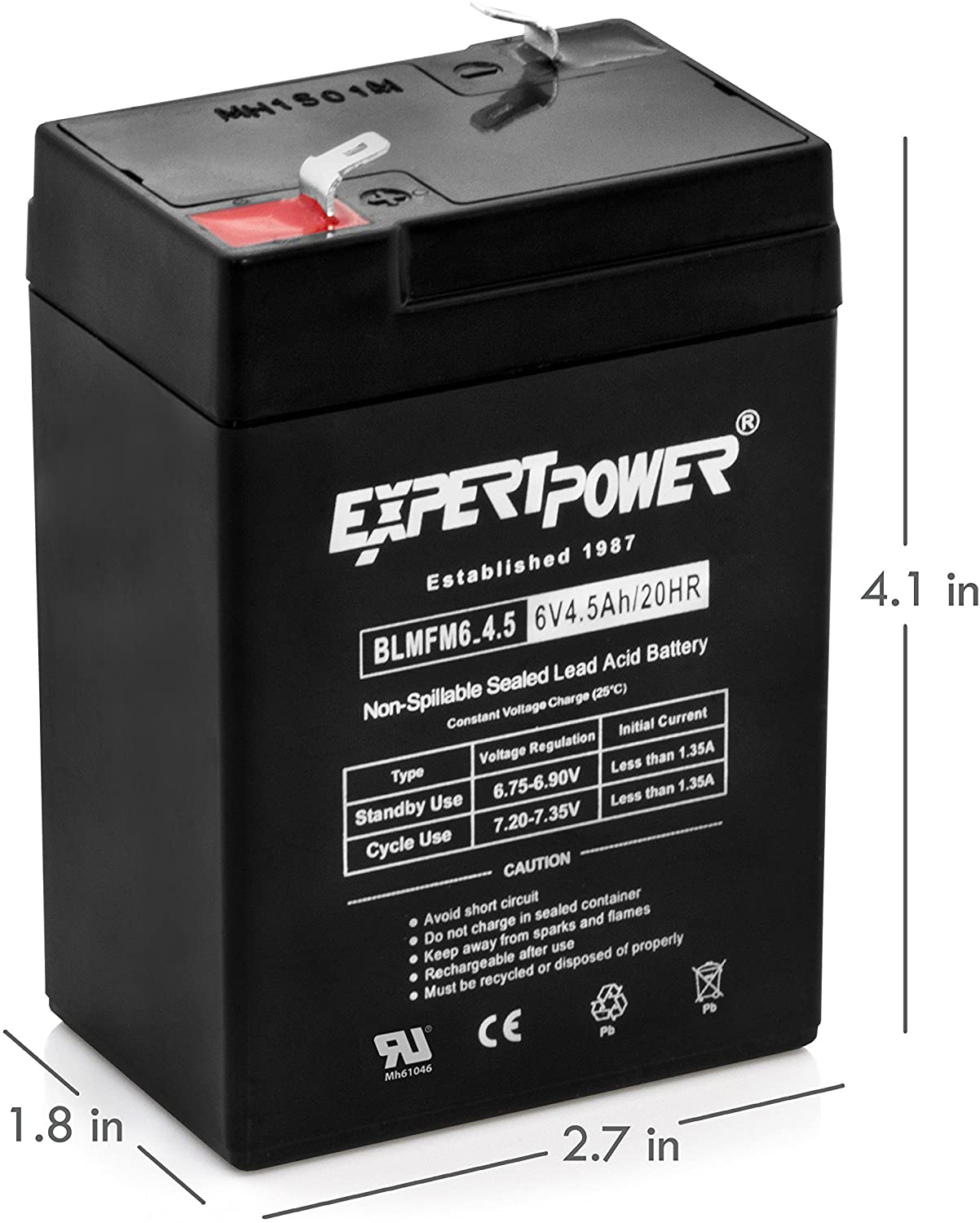 6 Volt 4 amp Rechargeable Battery