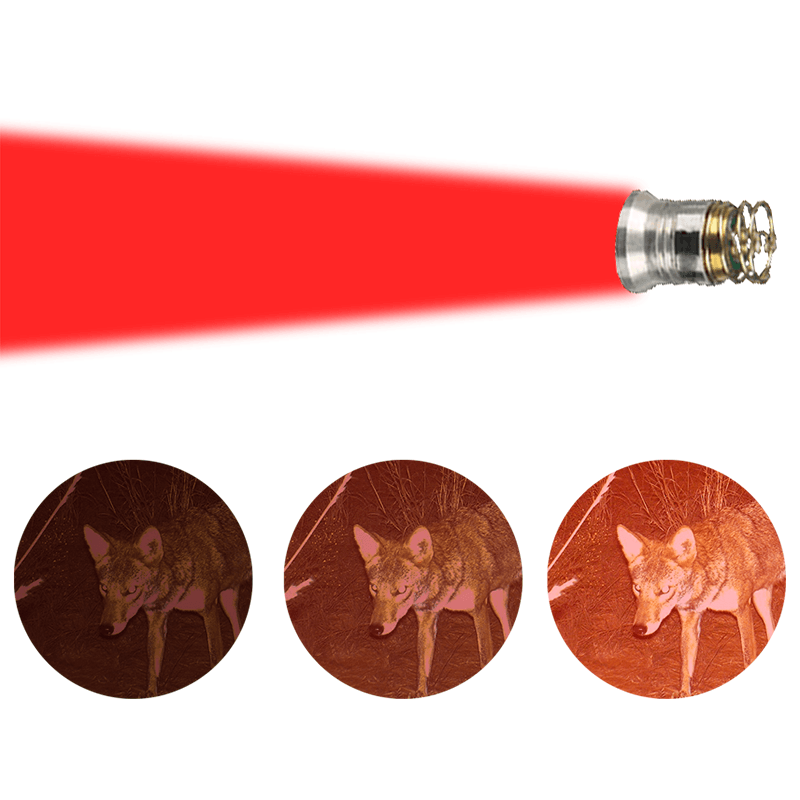 Kill Light XLR 100 or Piglet LED Module - Elusive Wildlife Technologies