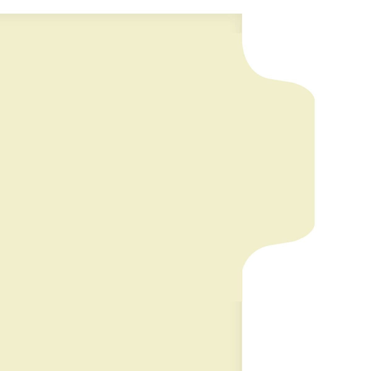 Tab Dividers for Binders & Files | FilingSupplies.com