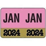 File Folder Labels From FilingSupplies.com