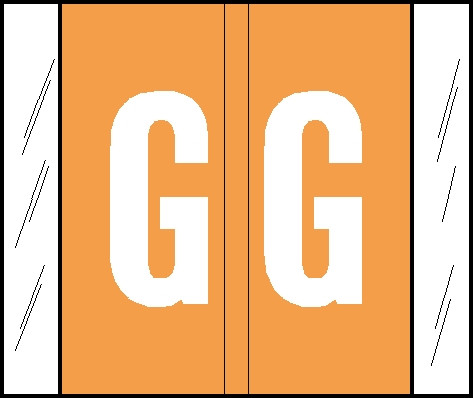 Tabbies GBS/VRE Compatible Alpha Labels, Orange, 1-5/16"H x 1-1/2"W, "G ...