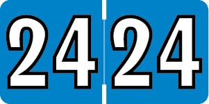 2024 Colwell Year Labels On Sheets - 1/2" H X 1-1/8" W - Blue - 225/Pack
