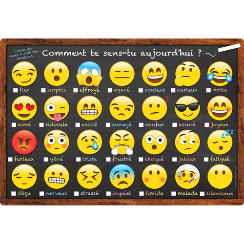 Smart Poly French Immersion Chart, 13'' x 19'', Emotions Icon, Comment ...