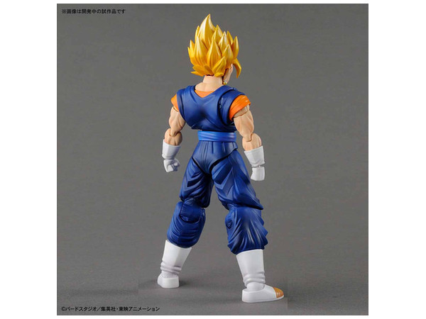 Super Saiyan Vegito [Dragon Ball Z] (Figure-rise Standard) - Hobbyholics