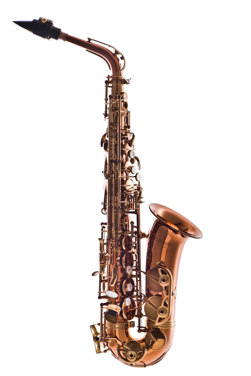 LEBLANC LAS711DL PREMIERE ALTO SAXOPHONE - Curly Woodwind