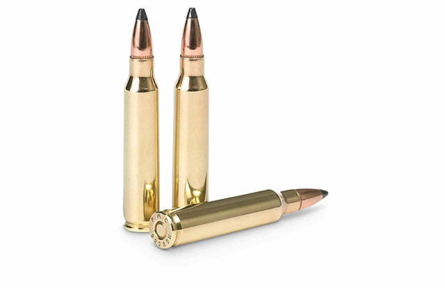 In-Stock .223 Remington