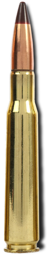 Federal M17 618.5gr FMJ .50BMG Red Tip Tracer - 10rds