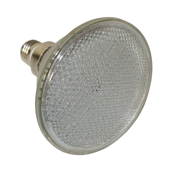 LED Light, Green, 10W - NS Corporation - B2B