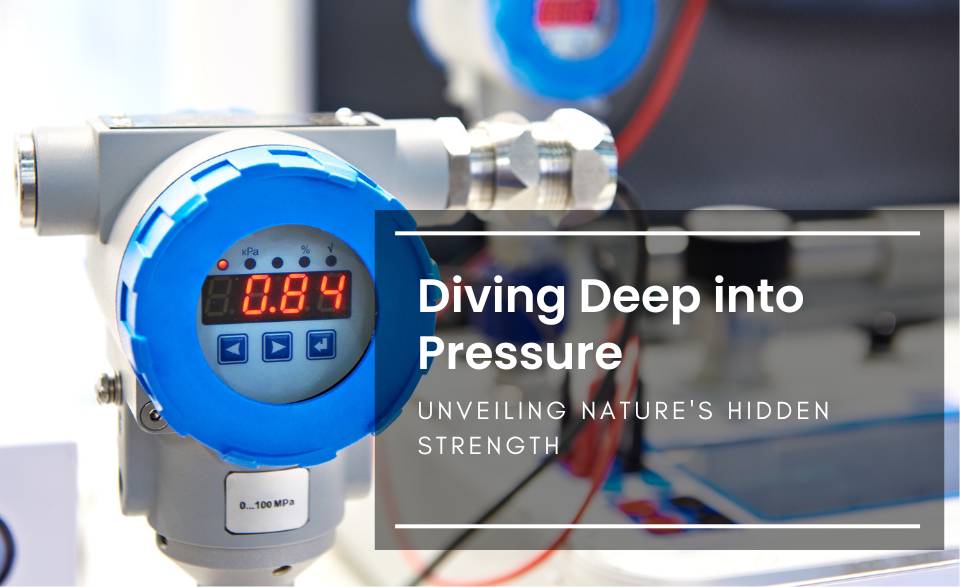 Diving Deep into Pressure: Unveiling Nature's Hidden Strength - Dubai ...