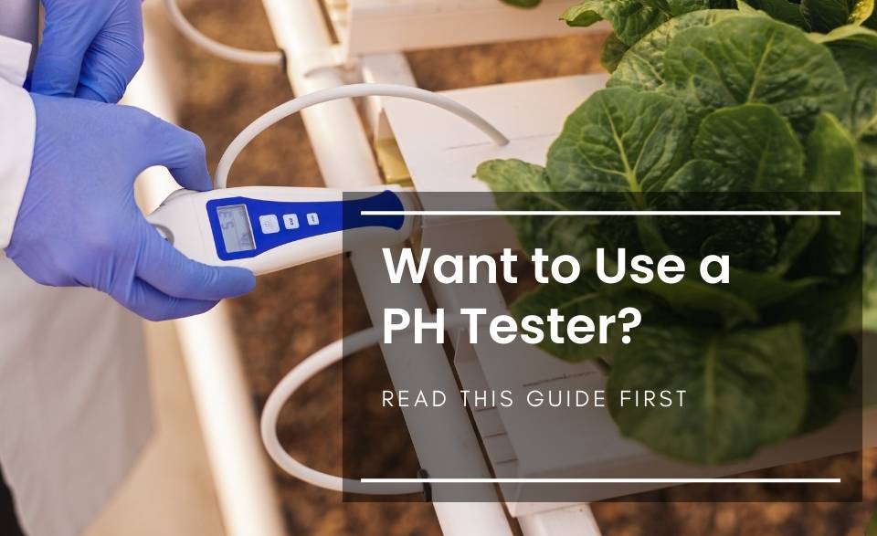 Want to use a PH tester? Read this guide first - Dubai Sensor