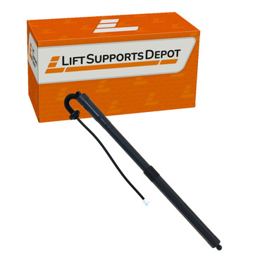Lexus Liftgate Lift Support - Lift Supports Depot PM10002