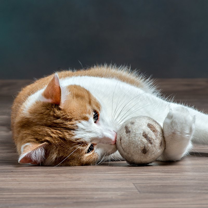 Large Felted Wool Ball for Cats- Wool Ball Cat Toy - Perfect Ball for a ...