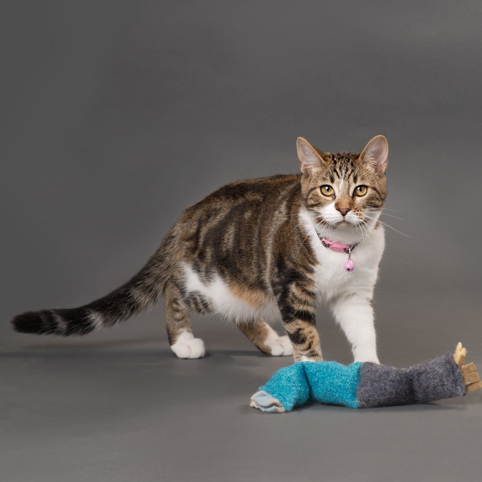 Catnip free natural cat toys. Made in USA! Organic cat toys. Purrfectplay