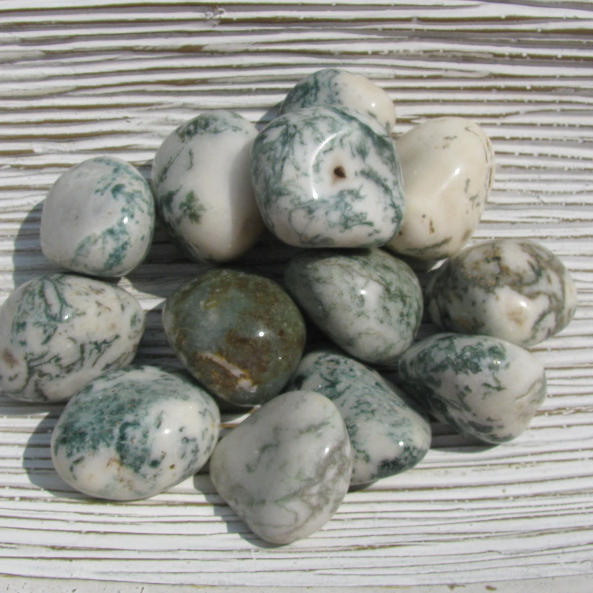 Tree Agate Stones | Shop Healing Tree Agate Crystals & Gemstones ...
