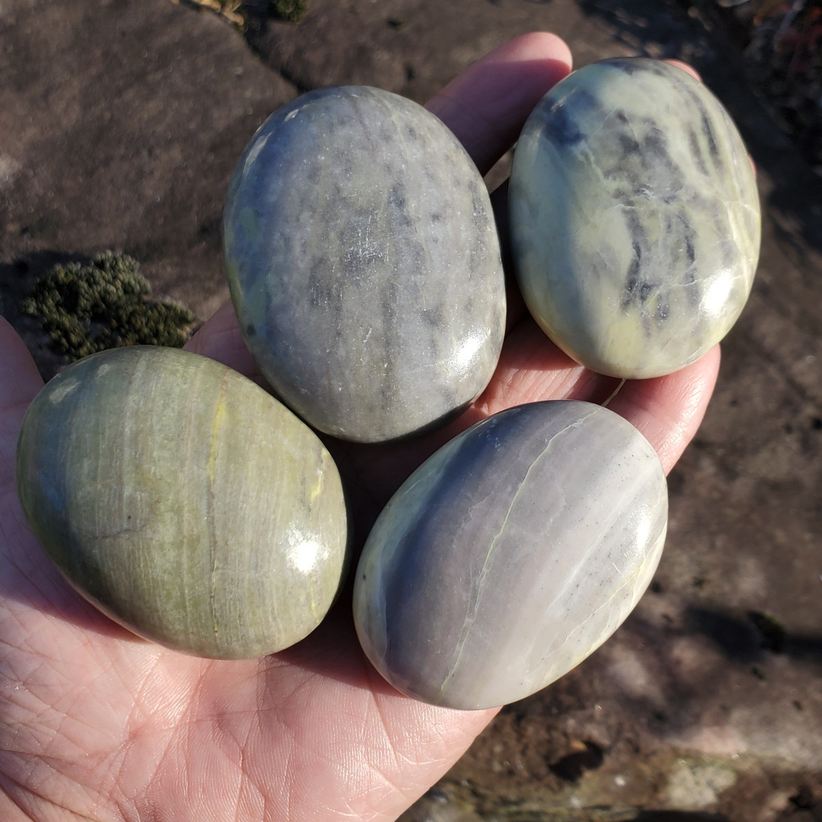 Serpentine Palm Stones | Shop Healing Atlantisite Crystals & Gemstones ...