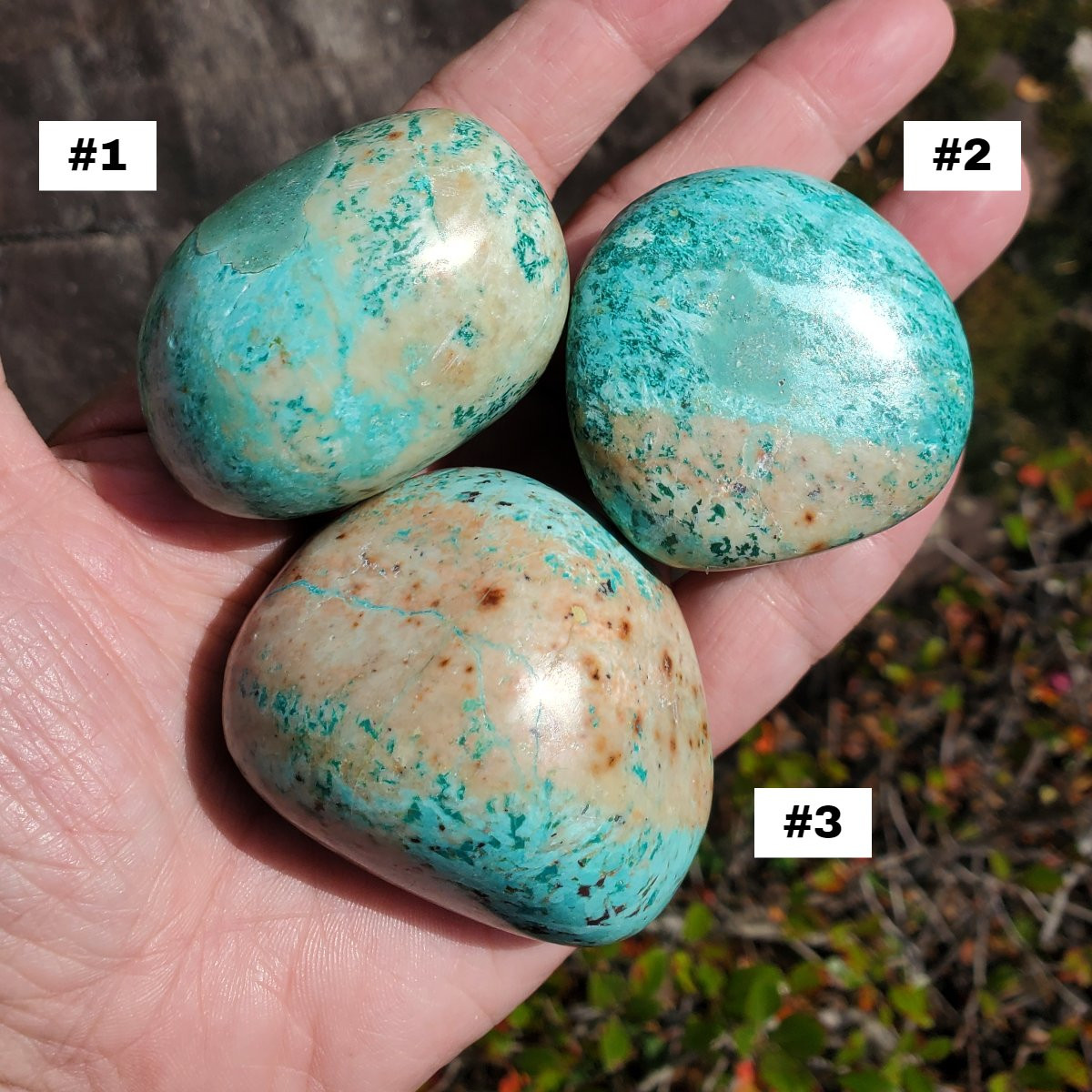 Chrysocolla Stones | Shop Healing Chrysocolla Crystals & Gemstones ...