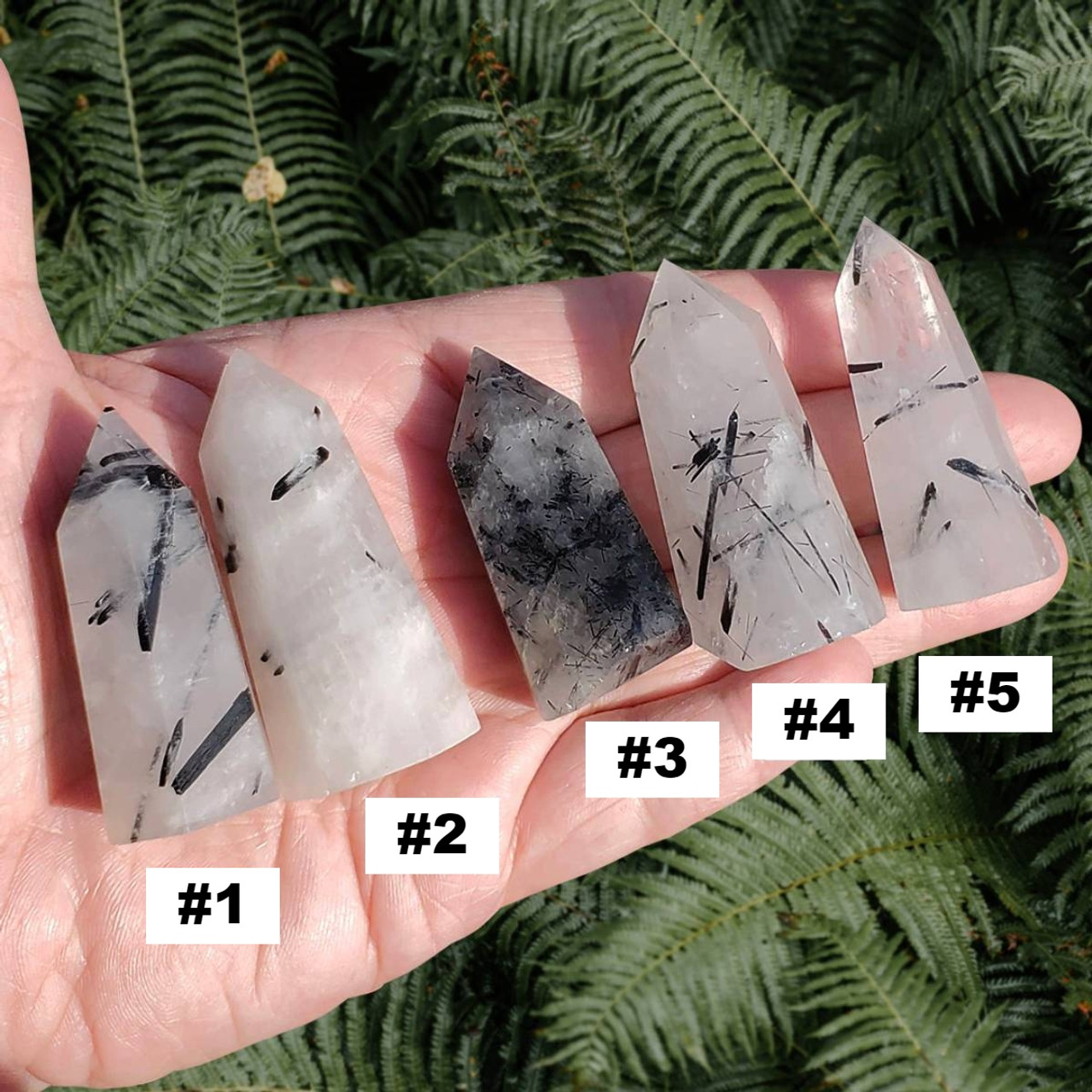 Tourmalinated Quartz | Black Tourmaline in Quartz Polished Points