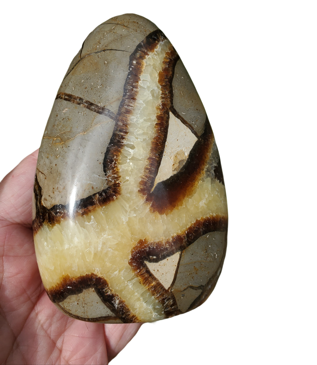 Septarian Stones | Shop Healing Septarian Crystals & Gemstones | Great ...