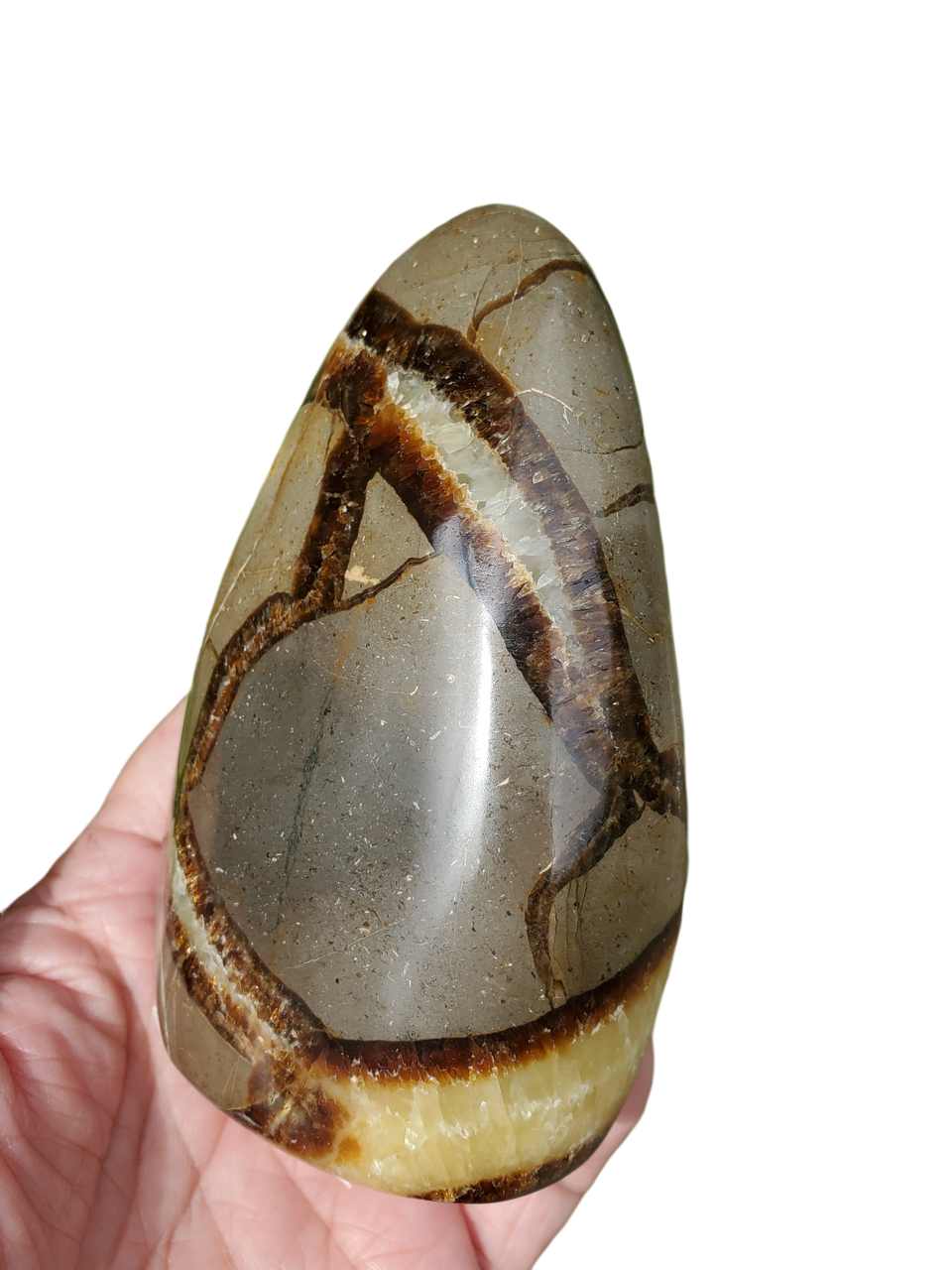 Septarian Stones | Shop Healing Septarian Crystals & Gemstones | Great ...
