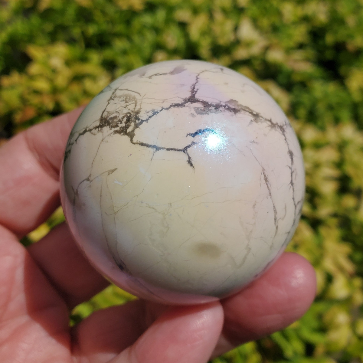 Angel Aura Howlite Sphere | Shop Healing Howlite Crystals & Gemstones ...