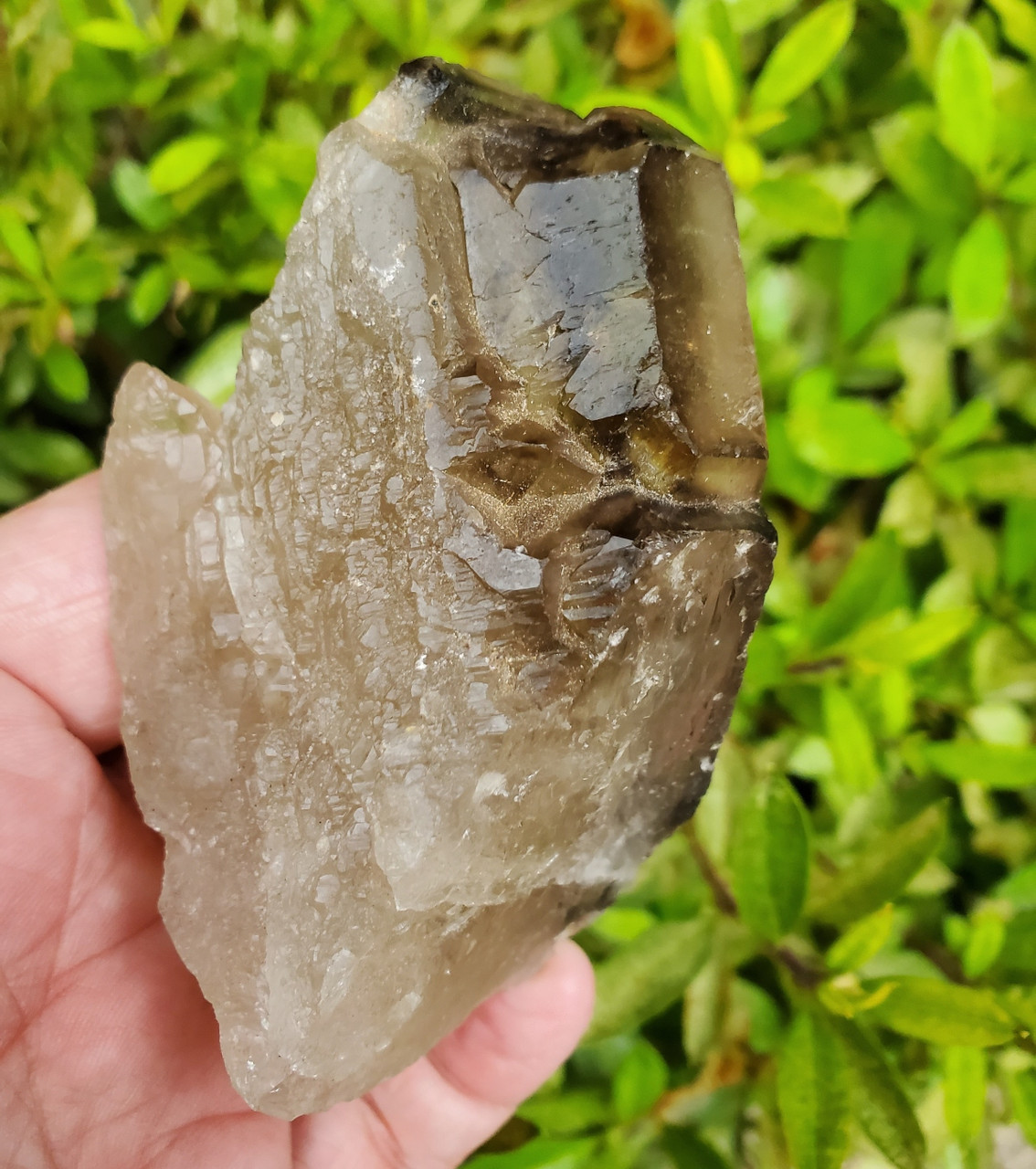 Elestial Quartz | Shop Healing Elestial Quartz Crystals & Gemstones ...