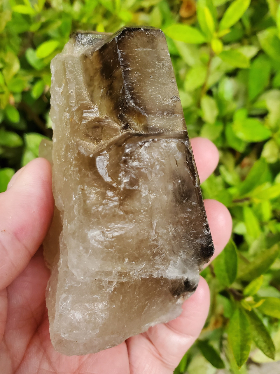 Elestial Quartz | Shop Healing Elestial Quartz Crystals & Gemstones ...
