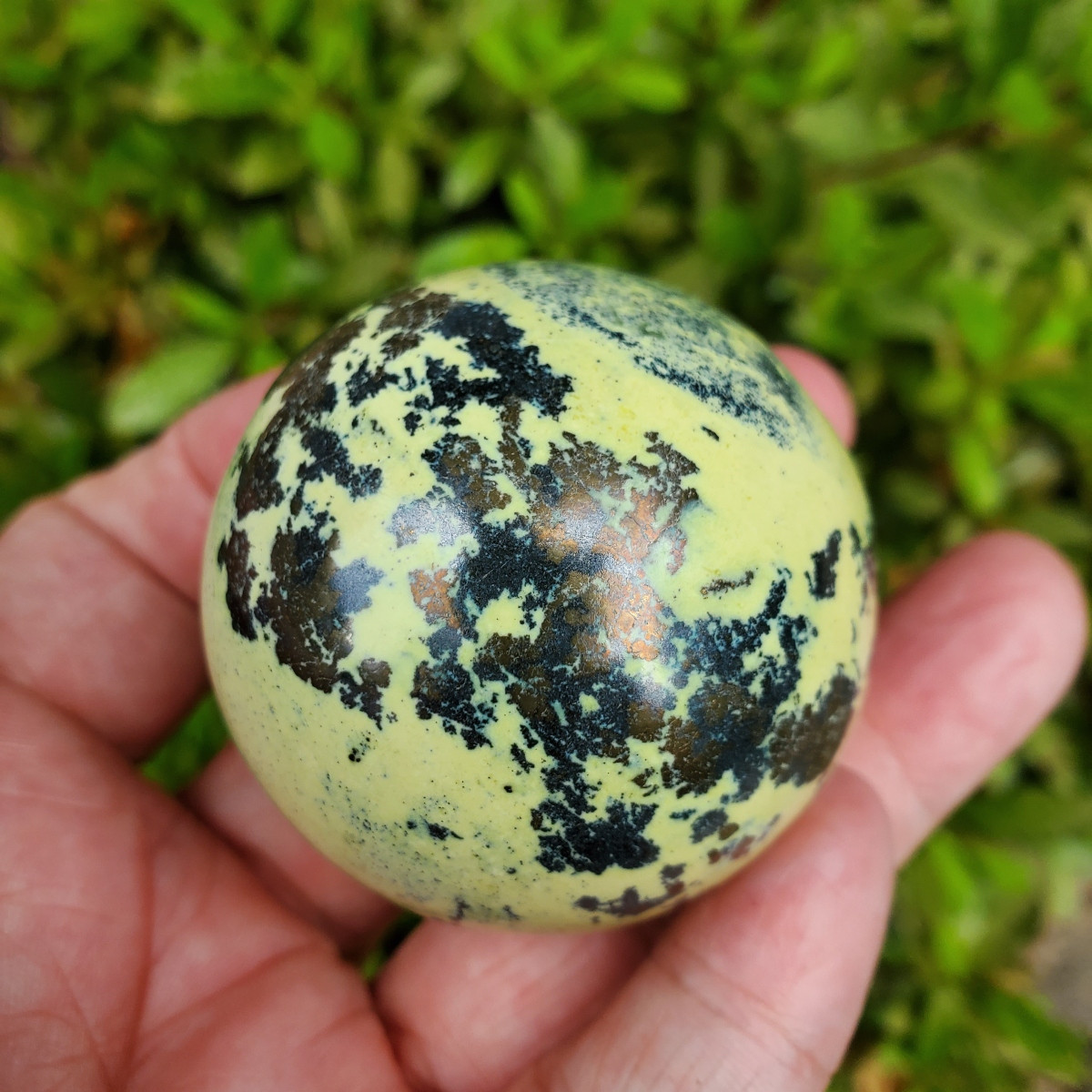 Serpentine Sphere | Shop Healing Serpentine Crystals & Gemstones ...