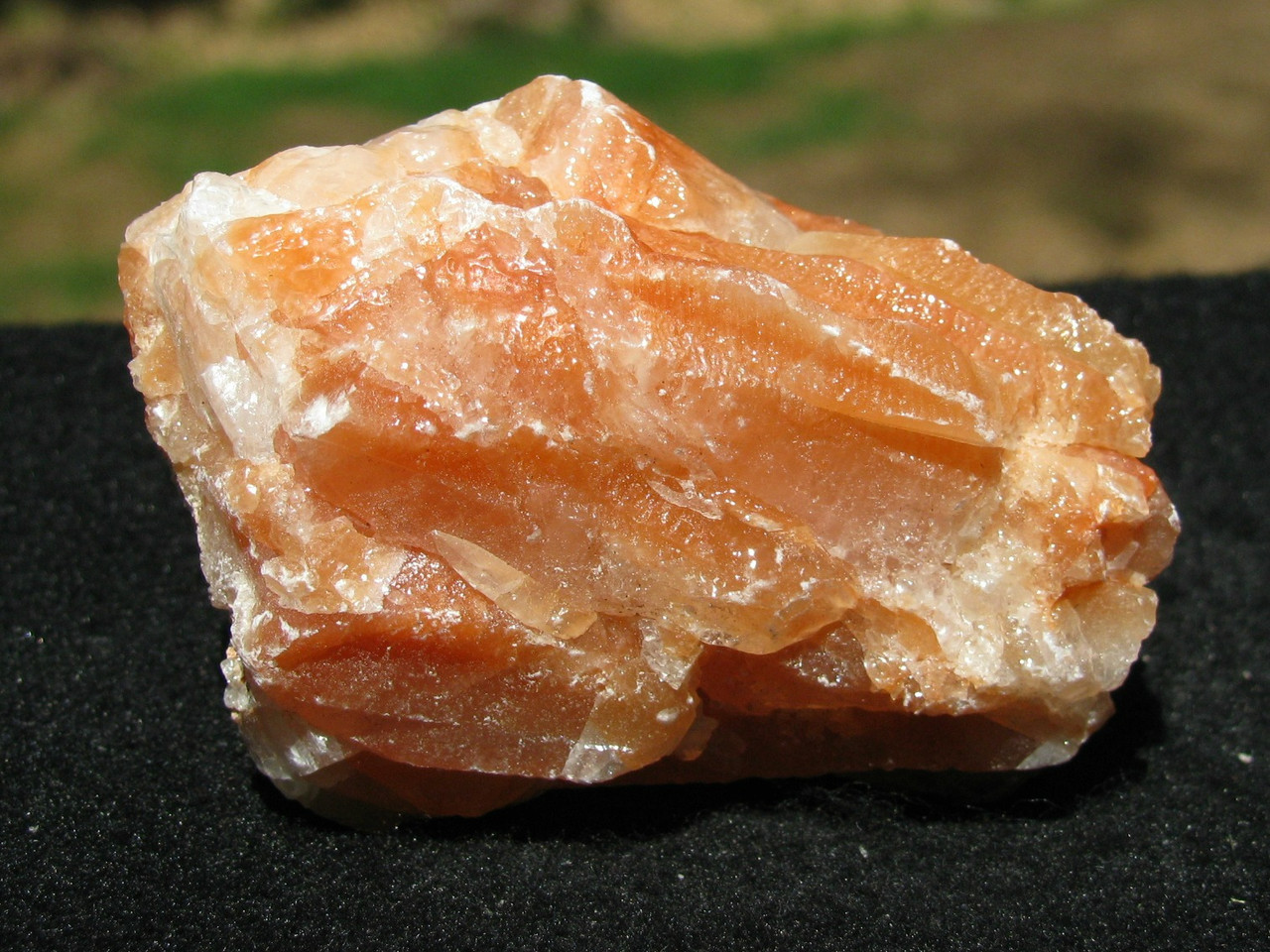 Fiero Calcite Coral Calcite Stones | Shop Healing Fiero Calcite Coral ...