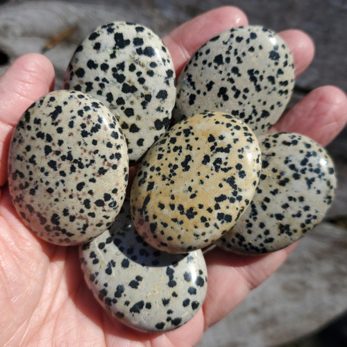 Dalmatian Jasper Stones | Shop Healing Dalmatian Jasper Crystals ...