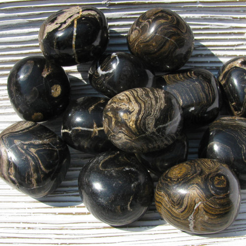 Stromatolite Stones | Shop Healing Stromatolite Crystals & Gemstones ...