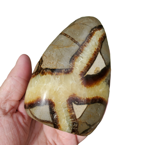 Septarian Stones | Shop Healing Septarian Crystals & Gemstones | Great ...