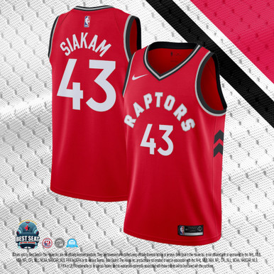 The Toronto Raptors Chair - Best Seat In The House Incorporated