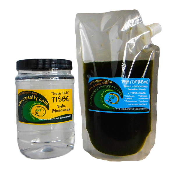 Live Fish Food | Live Aquarium Food