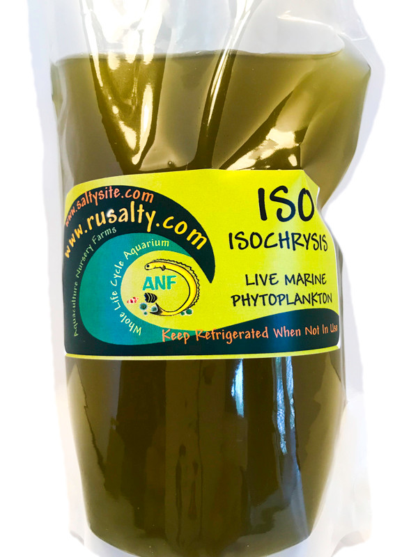 Isochrysis for sale | Isochrysis Starter Cultures | Live Iso for Sale