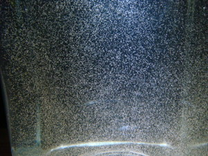 Saltwater Rotifers for Sale | Buy Live Rotifers | Rotifer Starter Kit
