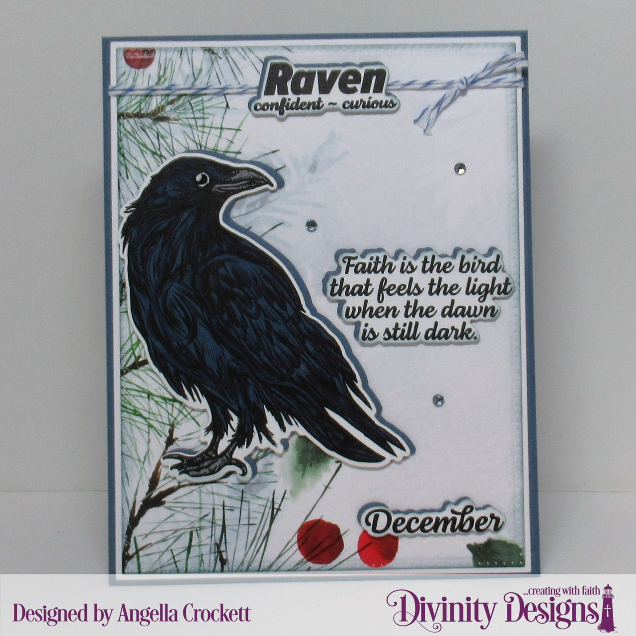 BIRTHDAY BIRD OF THE MONTH - DECEMBER