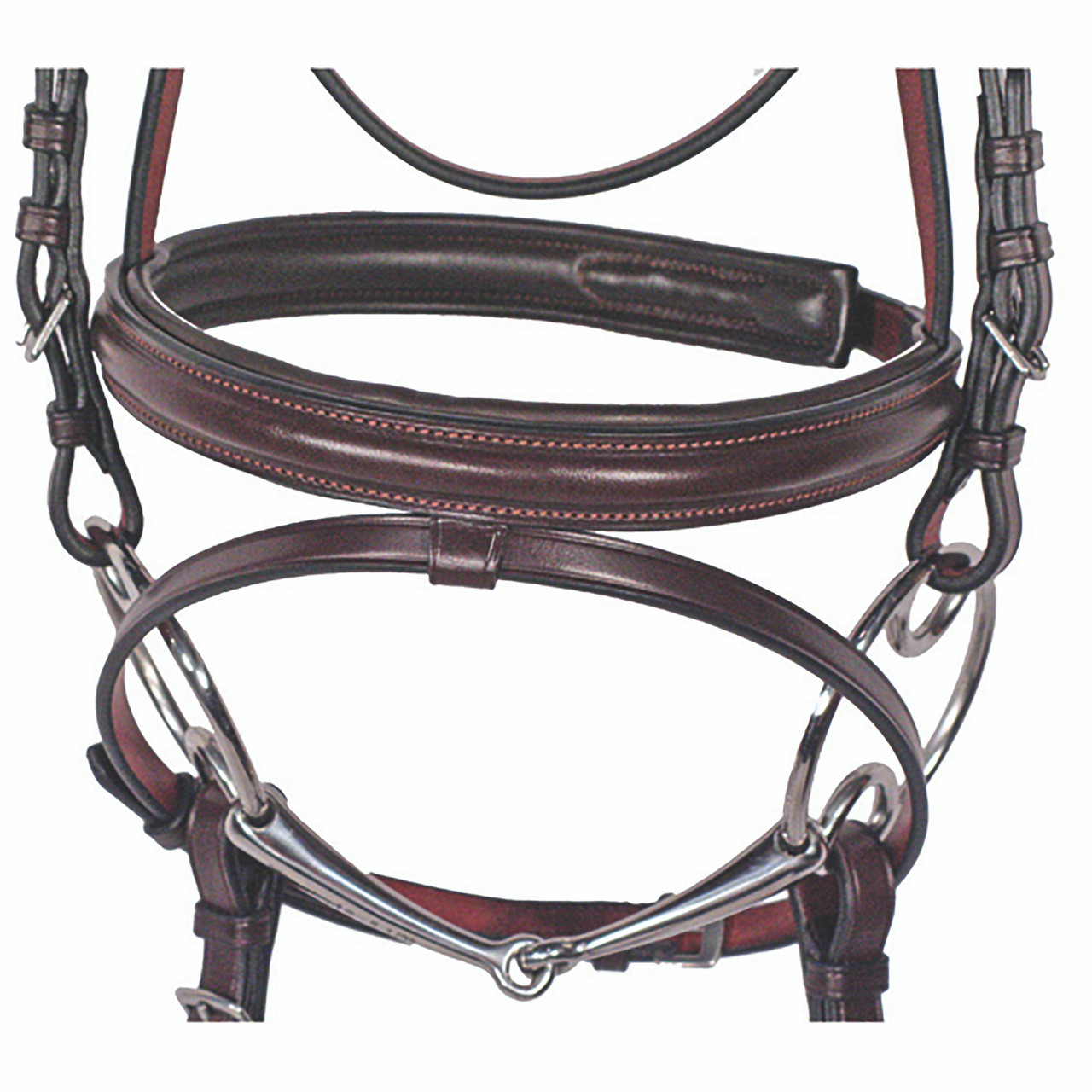 Galway Bridle