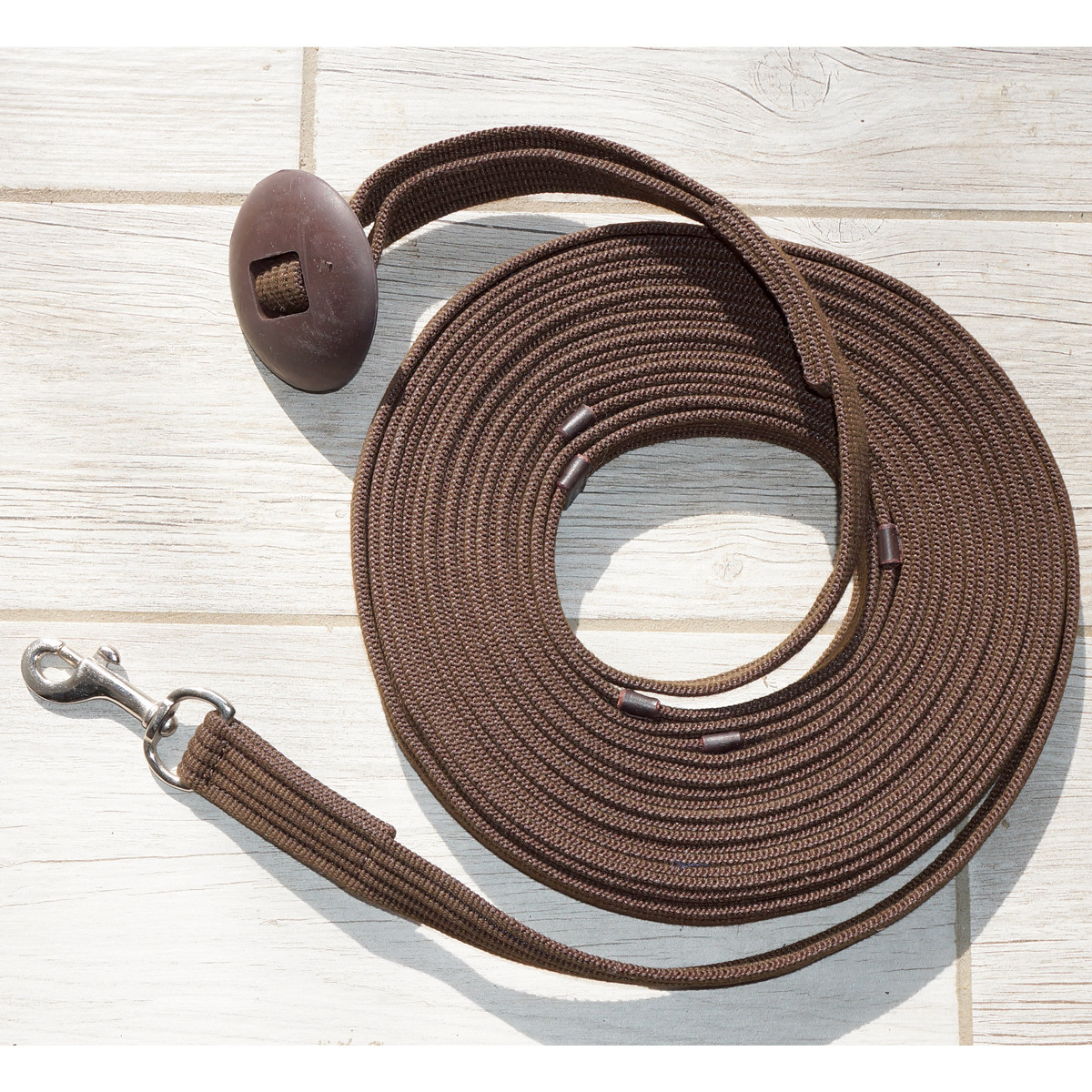 Beyond Basic Equestrian Lunge Line